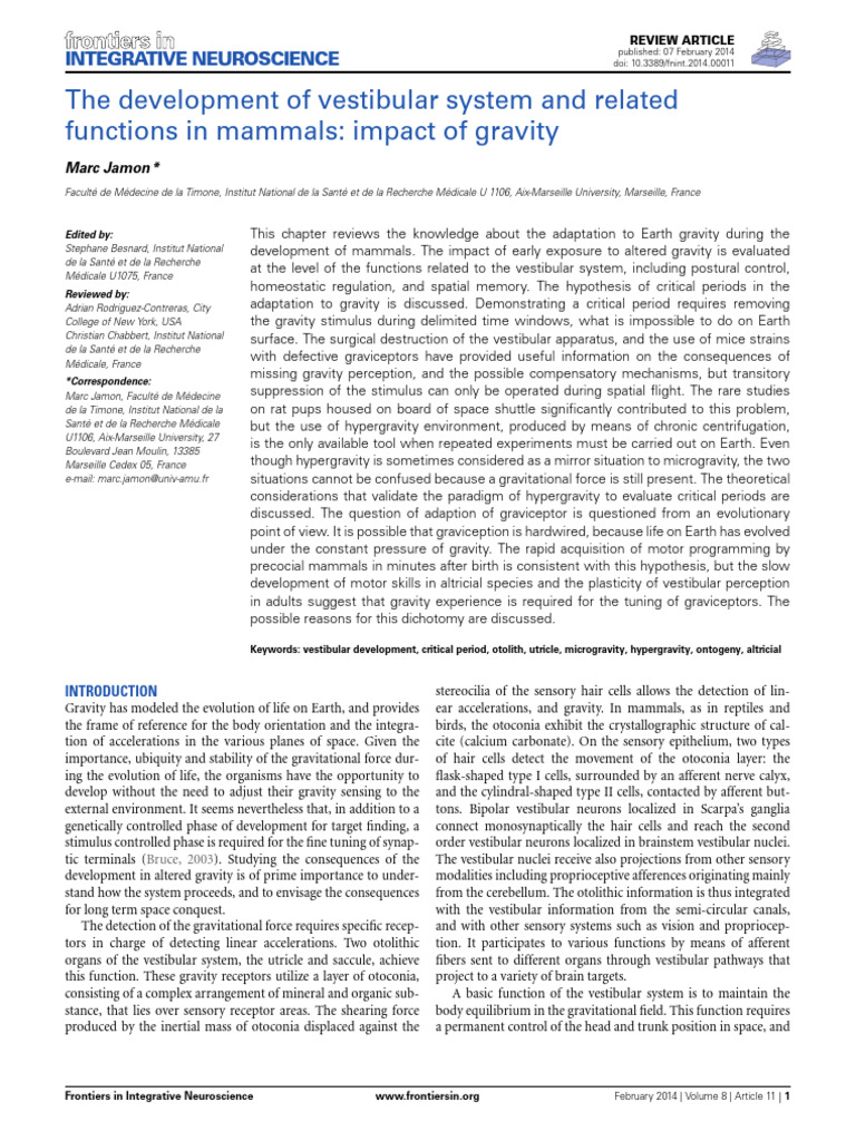 Development of Vestibular System and Related Functions in Mammals: Impact of Gravity | PDF ...