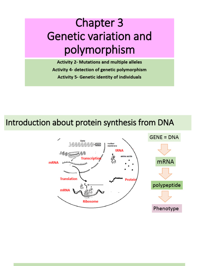 Chapter 3 Genetic Variation and Polymorphism Sessions | PDF | Point ...