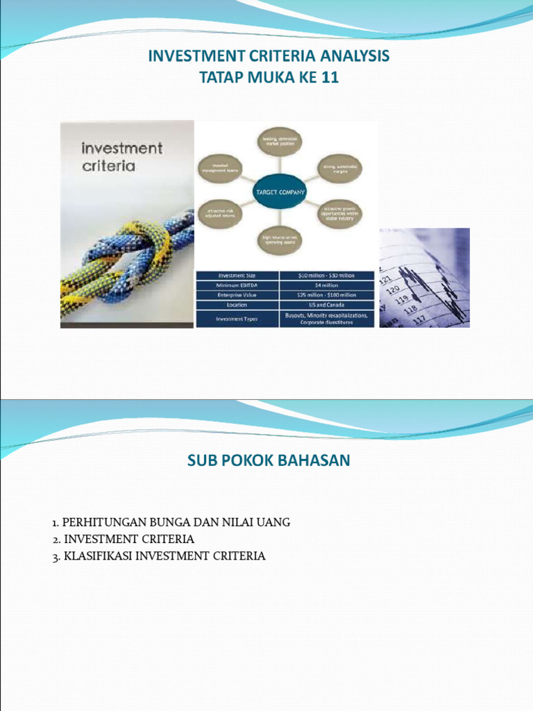 Investment Criteria Analysis | PDF