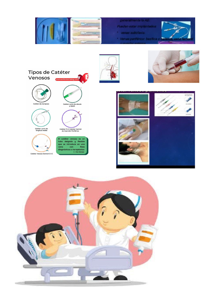 Documento (2) (15) | PDF