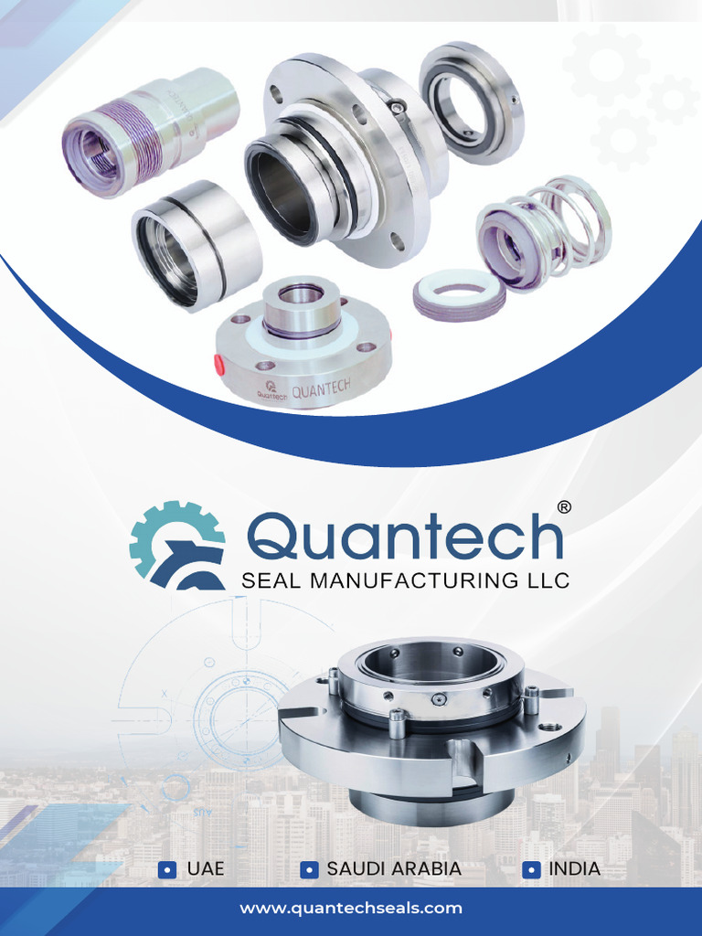 Quantech Seals Brochure | PDF | Petroleum | Oil