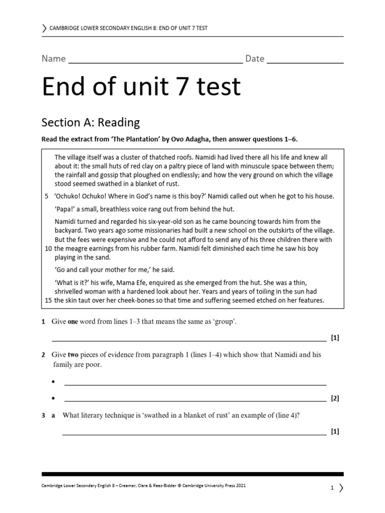 LS English 8 Unit 7 Test | PDF