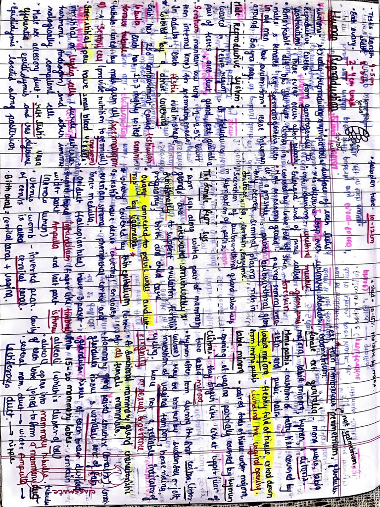 Human Reproduction Bio Short Notes | PDF