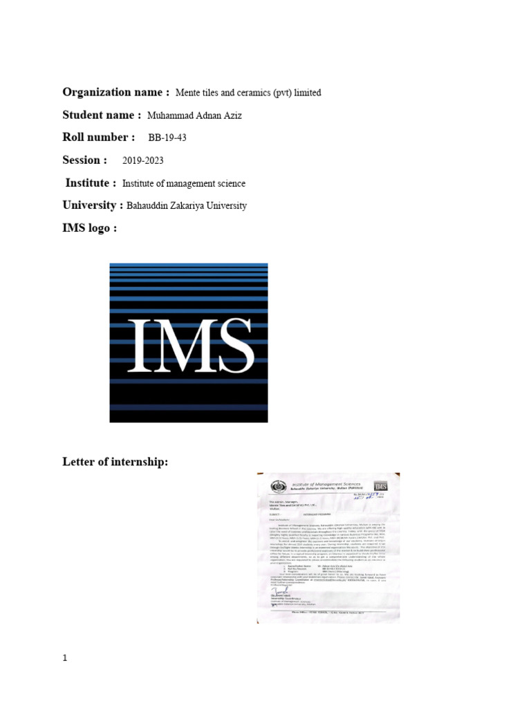 Adnan Aziz Internship Report 2023 | PDF | Occupational Safety And Health | Employment