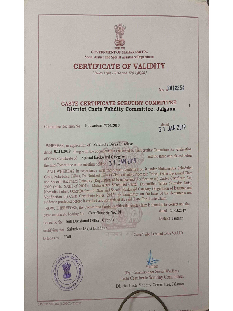 Divyq Cast Validity | PDF