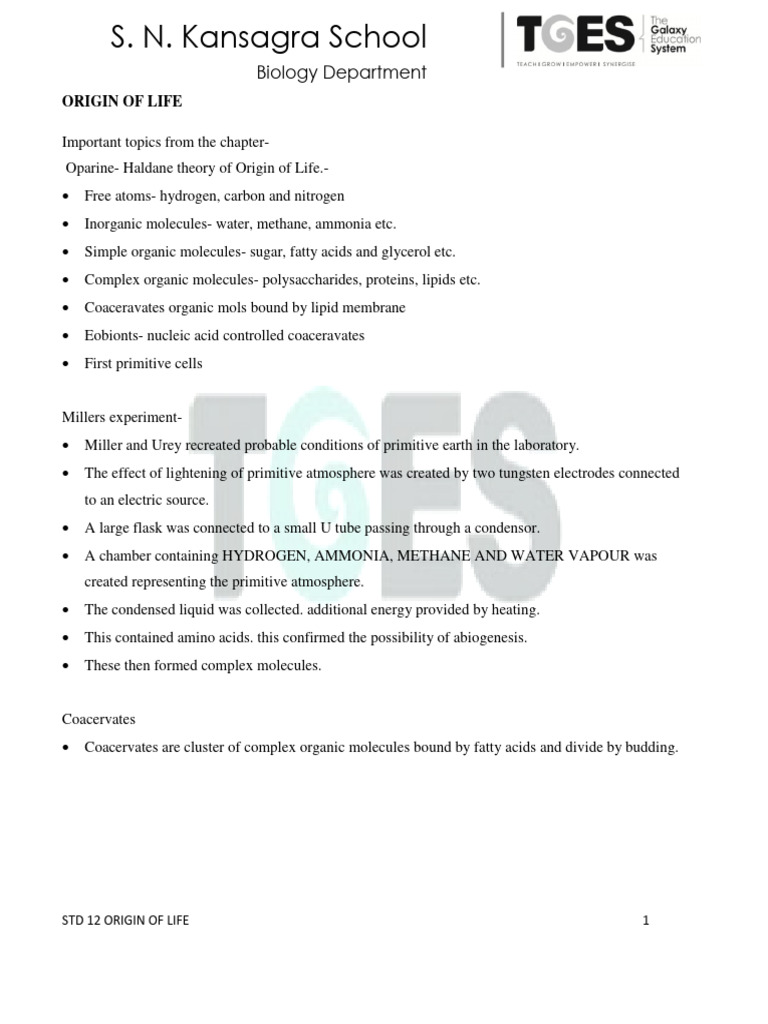 Origin of Life | PDF