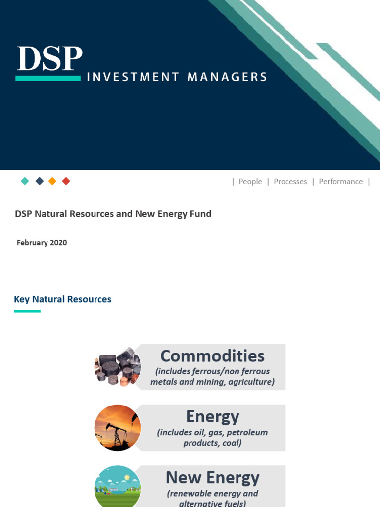 dsp-natural-resources-and-new-energy-fund-presentation (1) | Download ...
