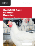 2022 Cobb500 Broiler Performance Nutrition Supplement | PDF | Broiler ...