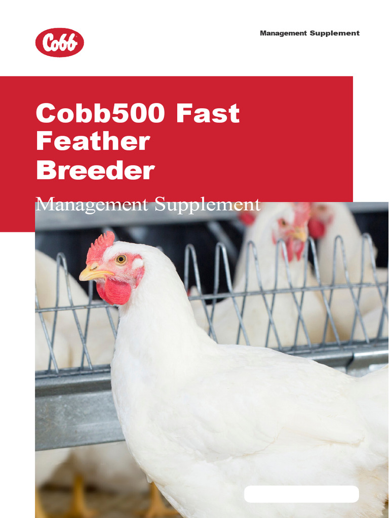 Cobb500 Fast Feather Breeder Management Supplement - OK | PDF | Chicken ...