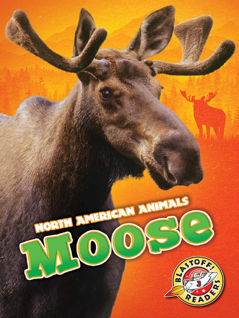 Stoff! Stoff! Stoff! Stoff!: LA R LA R LA R LA R | PDF | Moose | Zoology