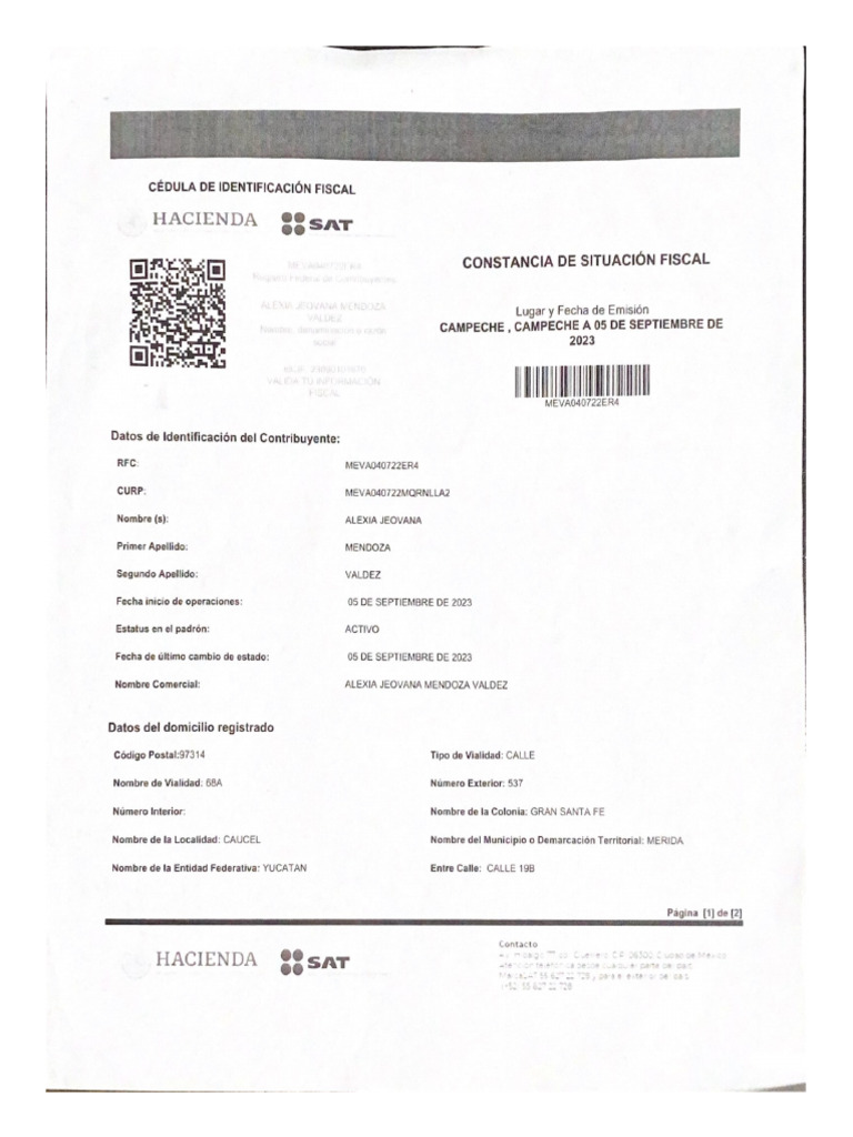 Cédula de Identificación Fiscal | PDF