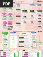 BIO-TISSUES MIND MAP Class 9 | PDF