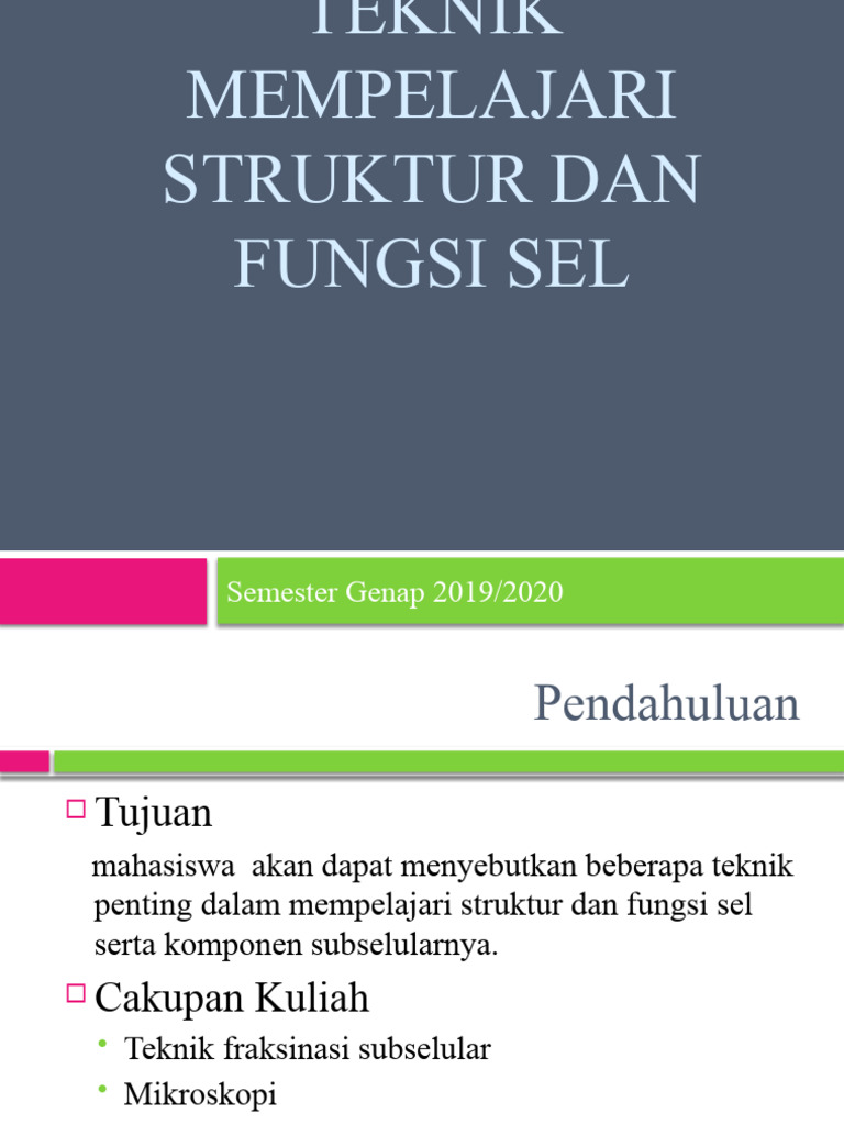 W2 Teknik Mempelajari Struktur Dan Fungsi Sel 2020 Pdf