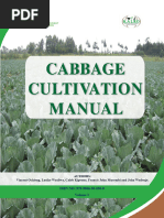 Cabbage Production JICA | PDF | Plant Nursery | Cabbage