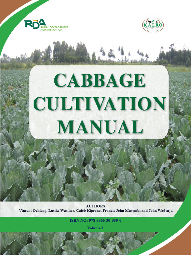 Cabbage-Cultivation_in-Kenya | PDF | Cabbage | Pest (Organism)
