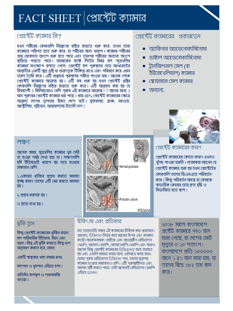 Rawshan Tabbasum Etika-Asg-2-Bangla Version-Bio | PDF