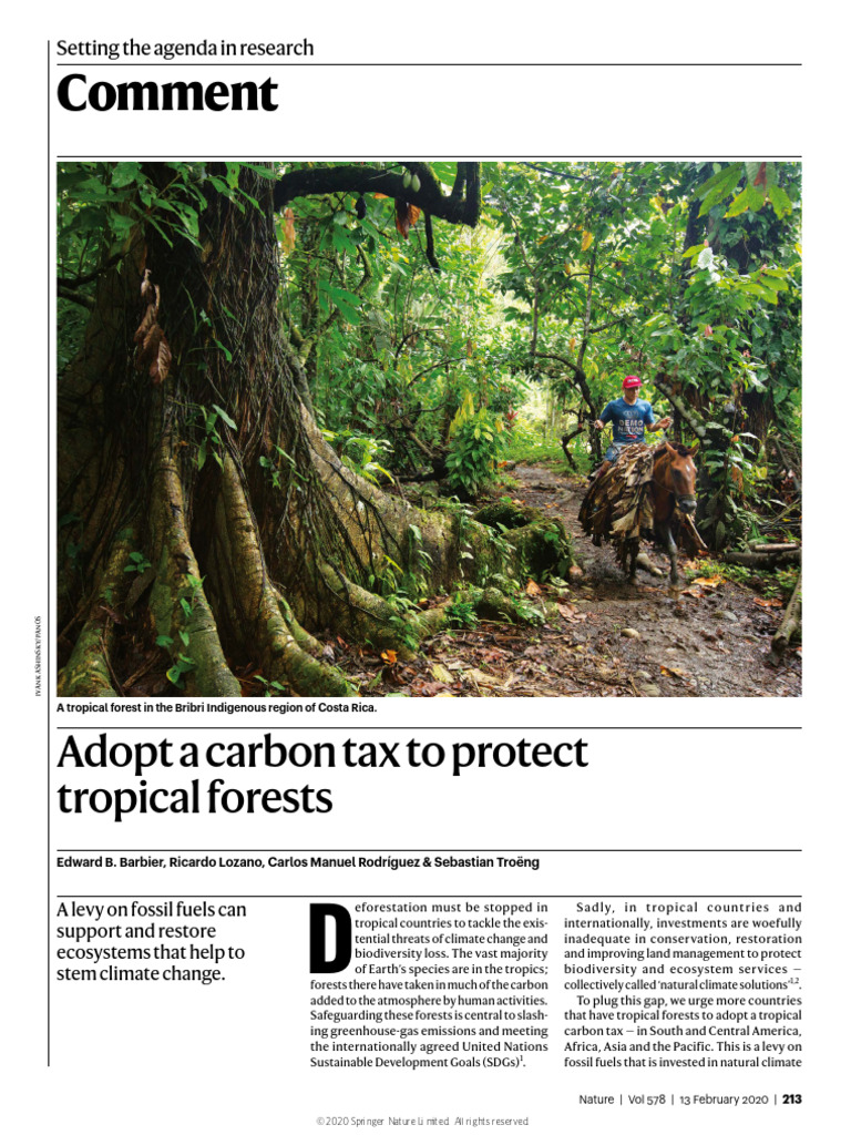 Sub-theme 4_Environmental Issues-Deforestation | PDF | Cost Of Living ...