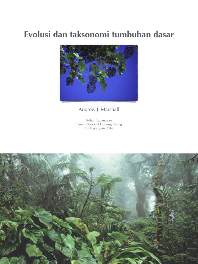 Plant Evolution Taxonomy Lowres Pdf