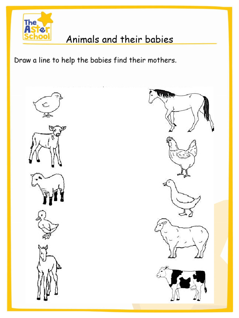 Preschool Worksheet - Pack 4 | PDF