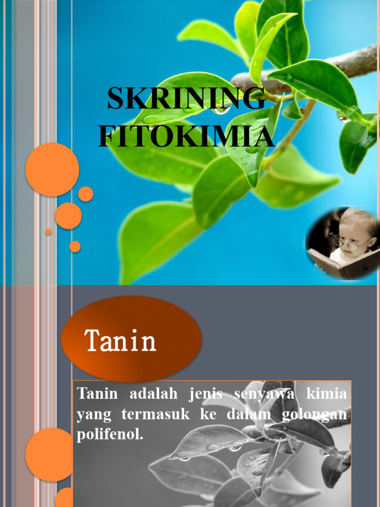 Skrining Fitokimia Tanin & Glikosida | PDF