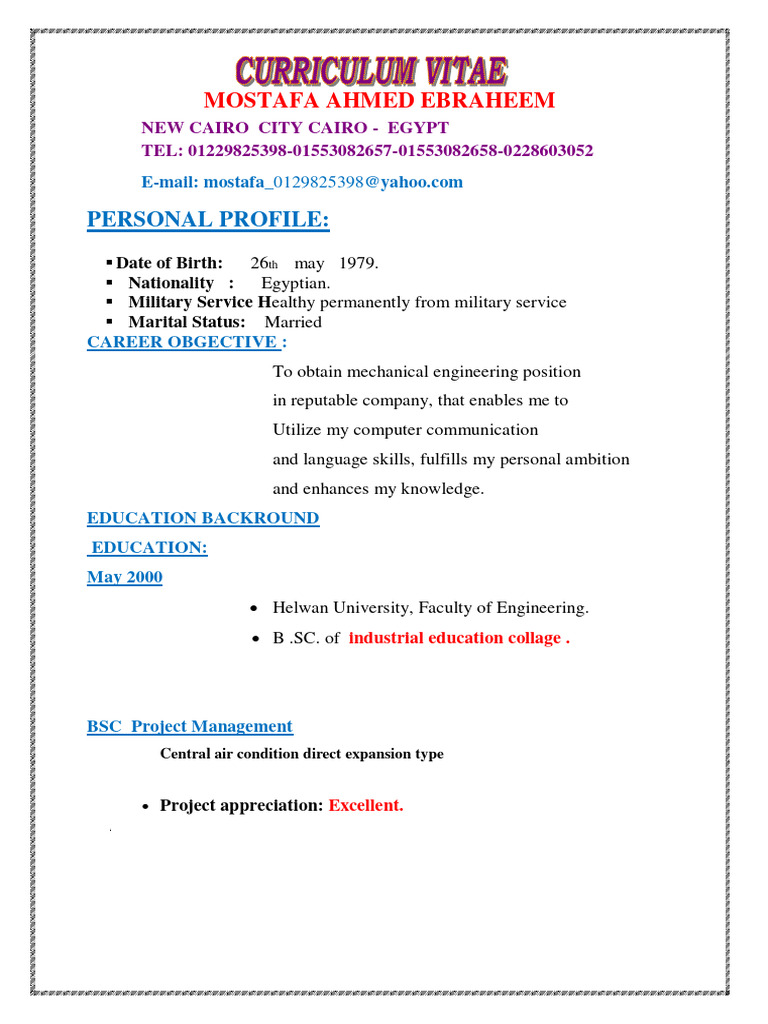 CV Final | PDF | Engineering | Computing