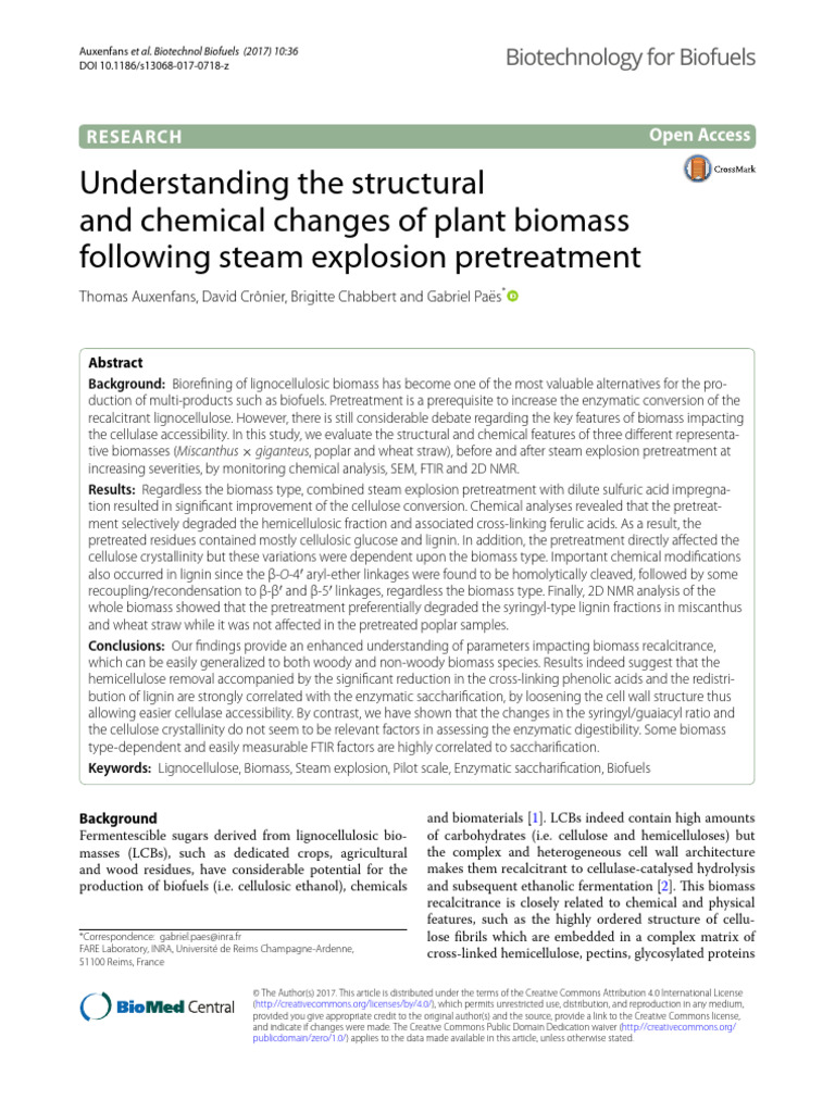 2017 AuxenfansDkk - Understanding the structural and chemical changes ...