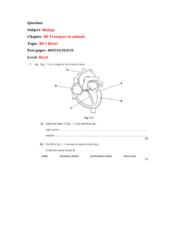 0653 s23 32 Done | PDF