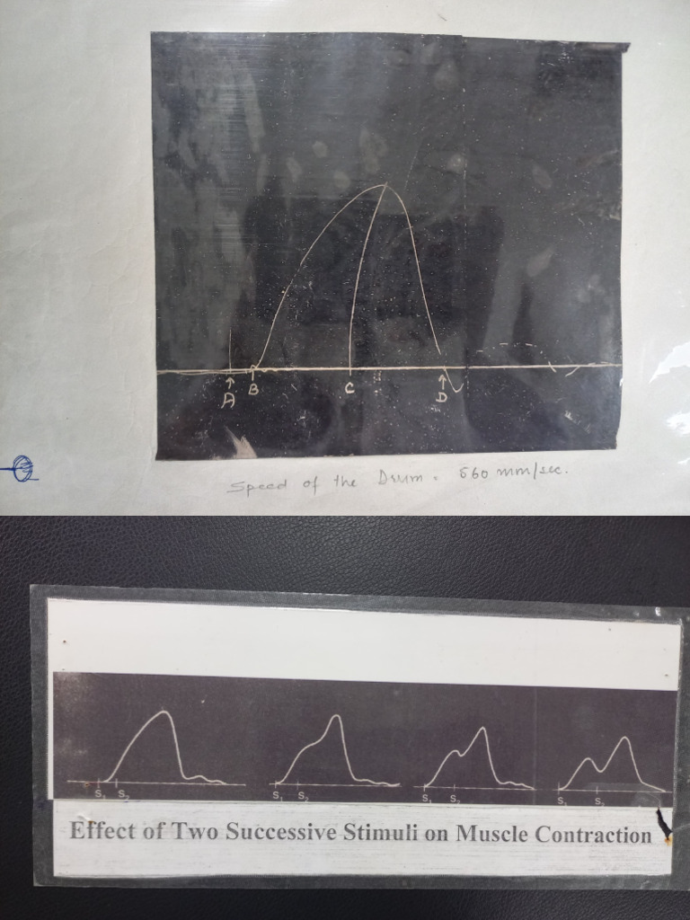 Amphibian graphs | PDF