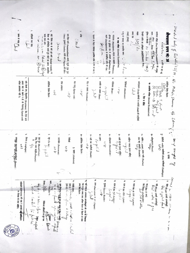 Rishabh Post Mortem Report | PDF