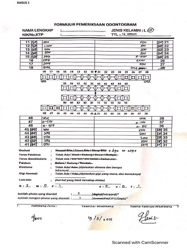 Skill Lab Glenis Grytha 4.2 Odontogram | PDF