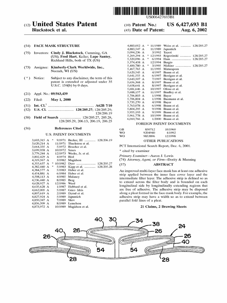 Face Mask Structure | PDF