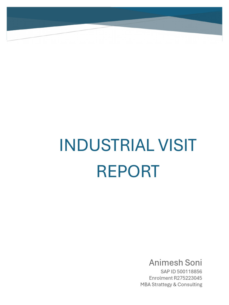 IV Report | PDF | Strategic Management | Business