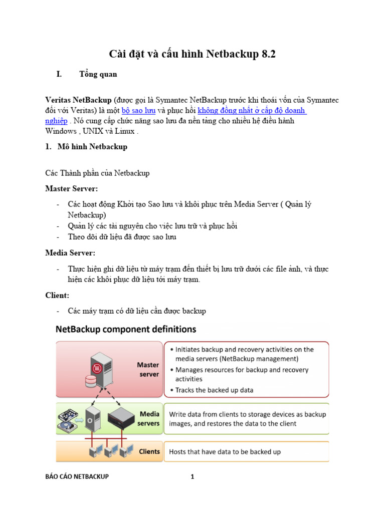 Báo Cáo Netbackup 8.2 | PDF