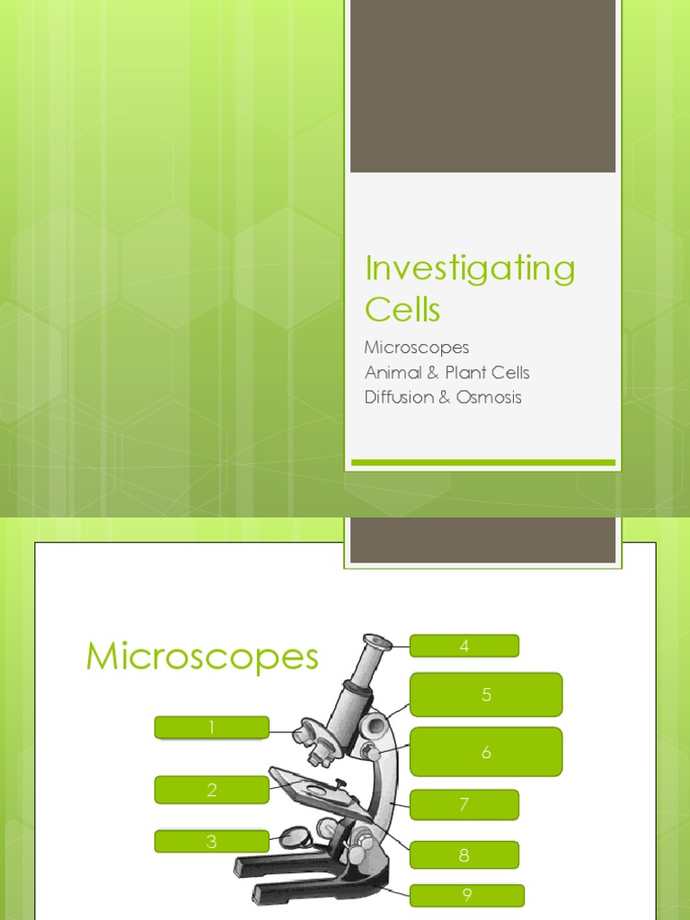 Investigating Cells: Microscopes Animal & Plant Cells Diffusion ...