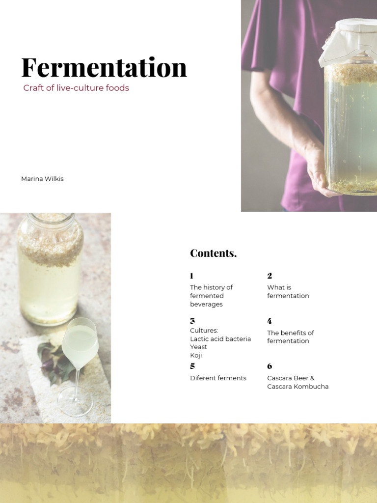 Fermentation | Download Free PDF | Fermentation | Fermentation In Food Processing