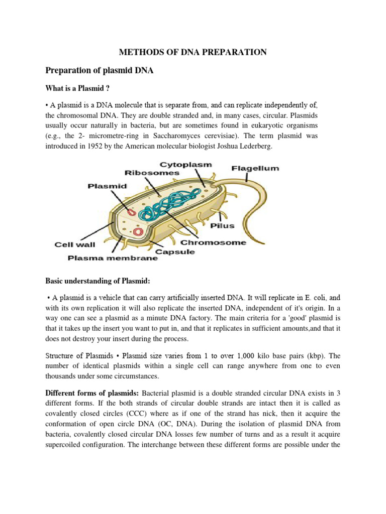 Methods of Dna Preparation | PDF | Plasmid | Molecular Cloning