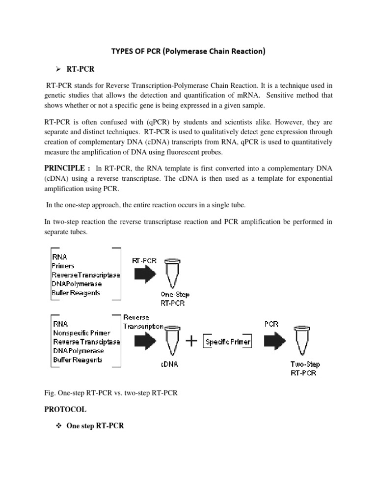 PCR Types | PDF | Reverse Transcription Polymerase Chain Reaction | Polymerase Chain Reaction