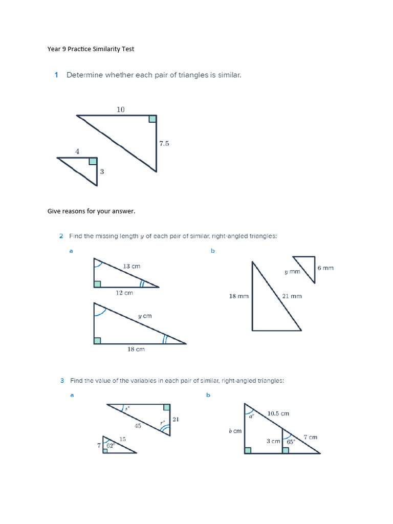 Year 9 Practice Similarity Test | PDF