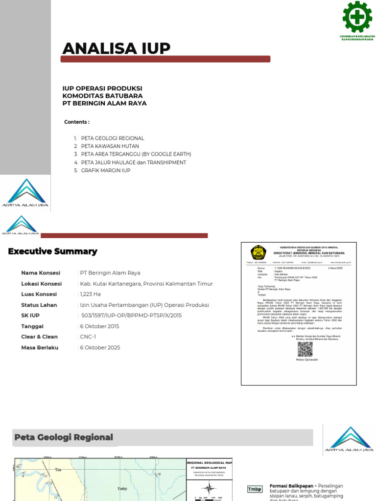 Summary Iup PT Beringin Alam Raya | PDF