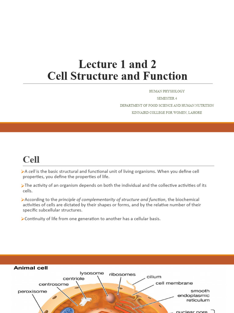 Physiology Lecture 1 and 2 (Slides) | PDF | Cell Membrane | Lipid Bilayer
