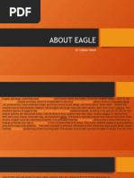 Eagle | PDF