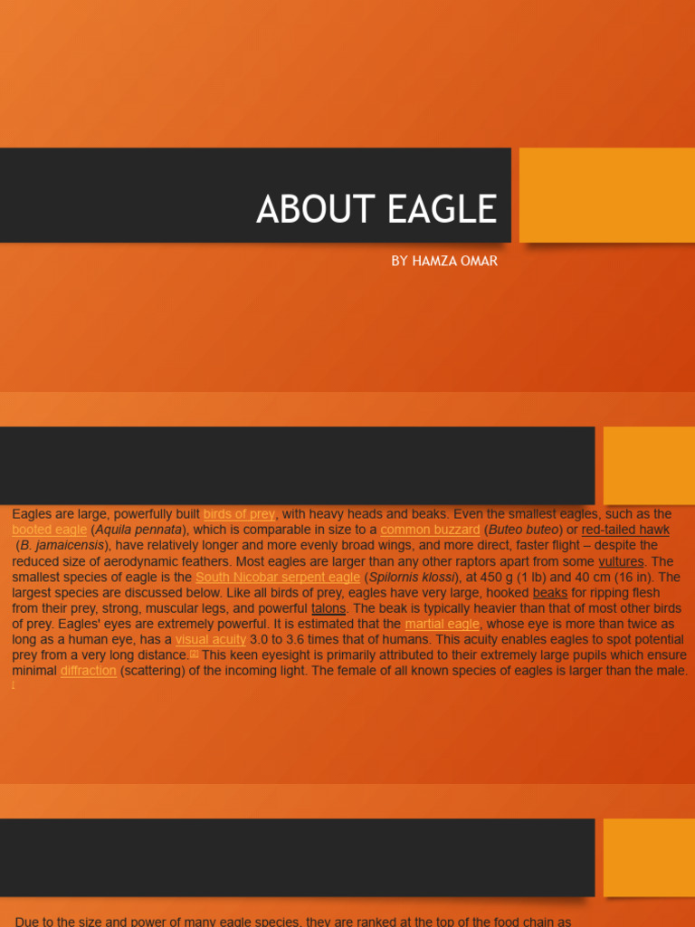 About Eagle | PDF | Eagle | Carnivorous Animals