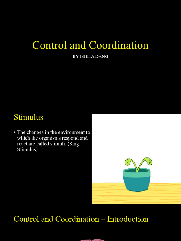 L-2A Control and Coordination in Plants | PDF | Plant Hormone | Plants