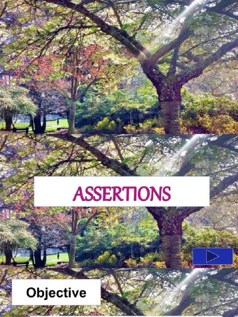 Assertions | PDF