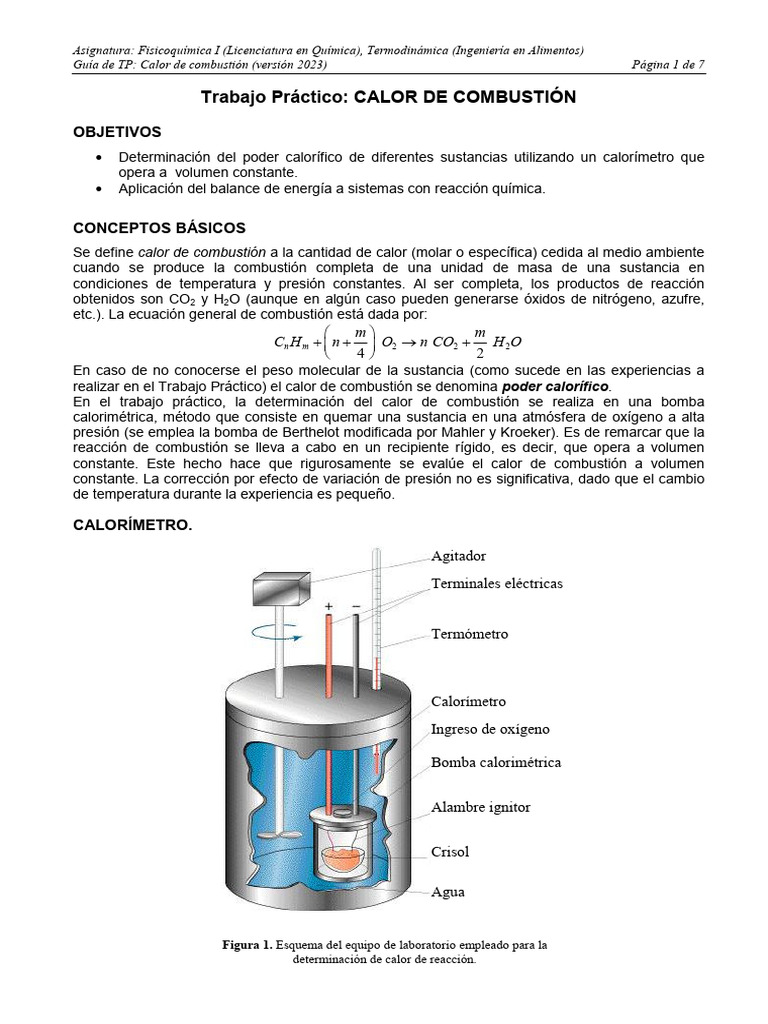 2 Calor de Combustion - V2023 | Descargar gratis PDF | Combustión | Calor