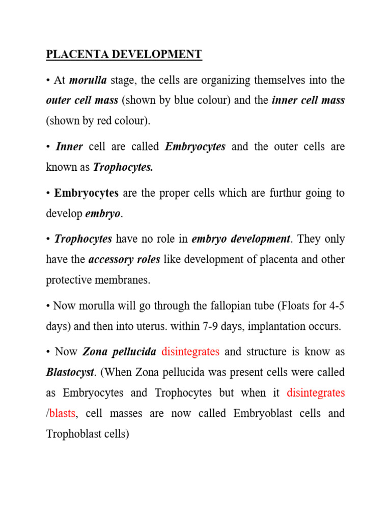 PLACENTA DEVELOPMENT. | Download Free PDF | Uterus | Reproduction
