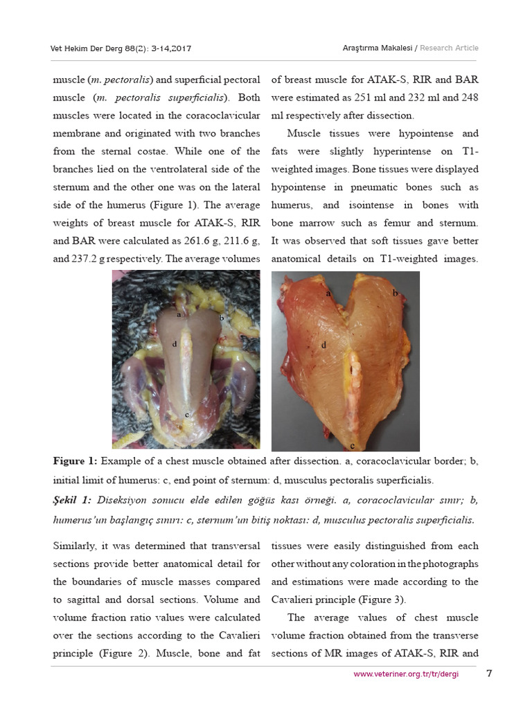Asd 4 | PDF | Musculoskeletal System | Anatomy