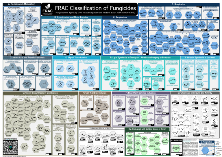 Frac Moa Poster 2024 | Download Free PDF | Biosynthesis | Adenosine Triphosphate
