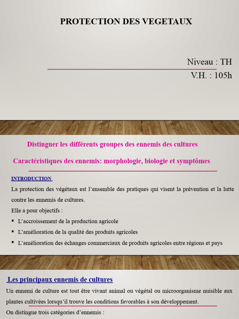 Ennemis des cultures : protection végétale | PDF | Insectes ...