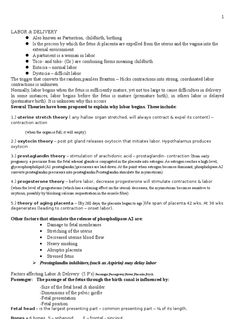 Labor and Delivery | PDF | Pelvis | Childbirth